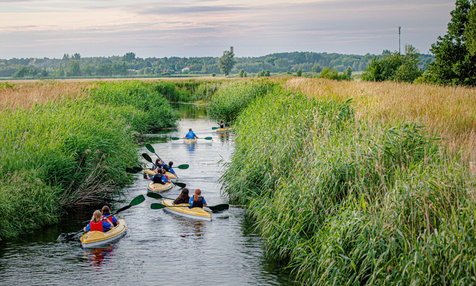 Bory Tucholskie — atrakcje i miejsca, które warto zobaczyć | Blog ...